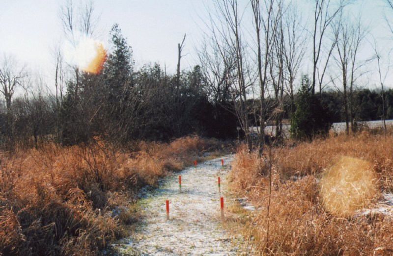 Swamps and Tracks By Graham Husk - RMI Railworks Live Steamers Railroad ...
